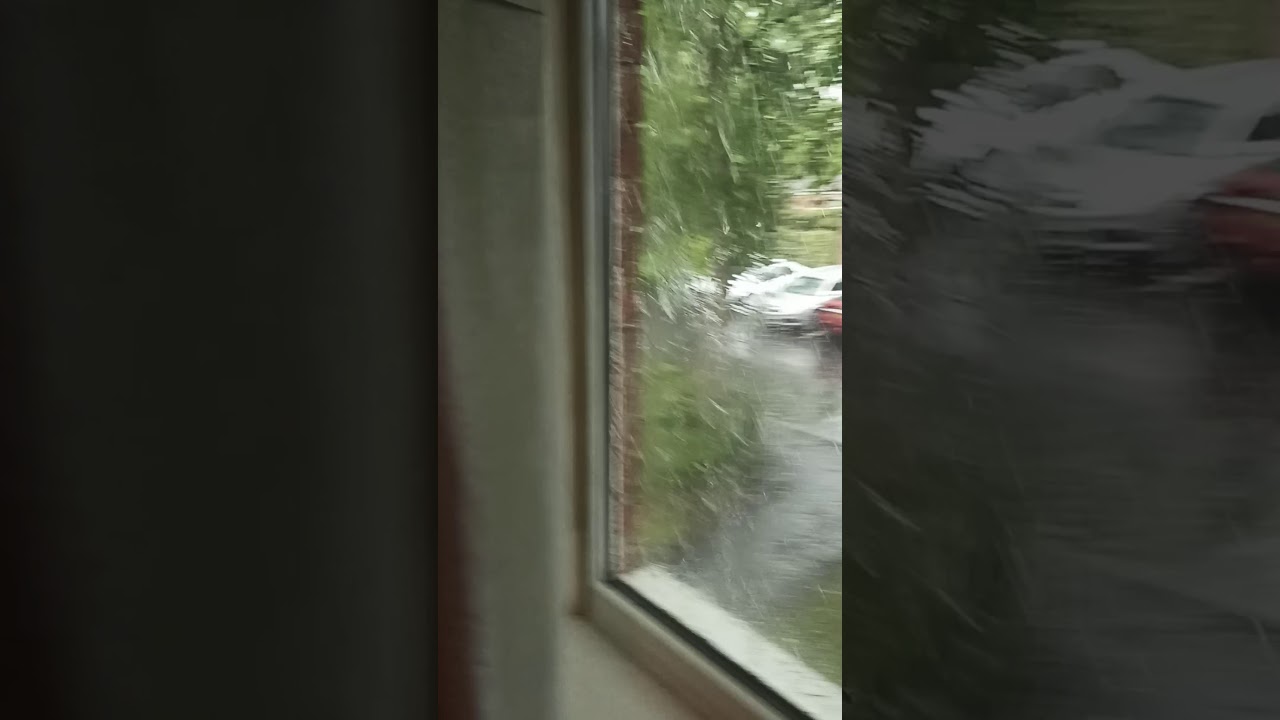 Video for Cllr Steven Longden - YouTube