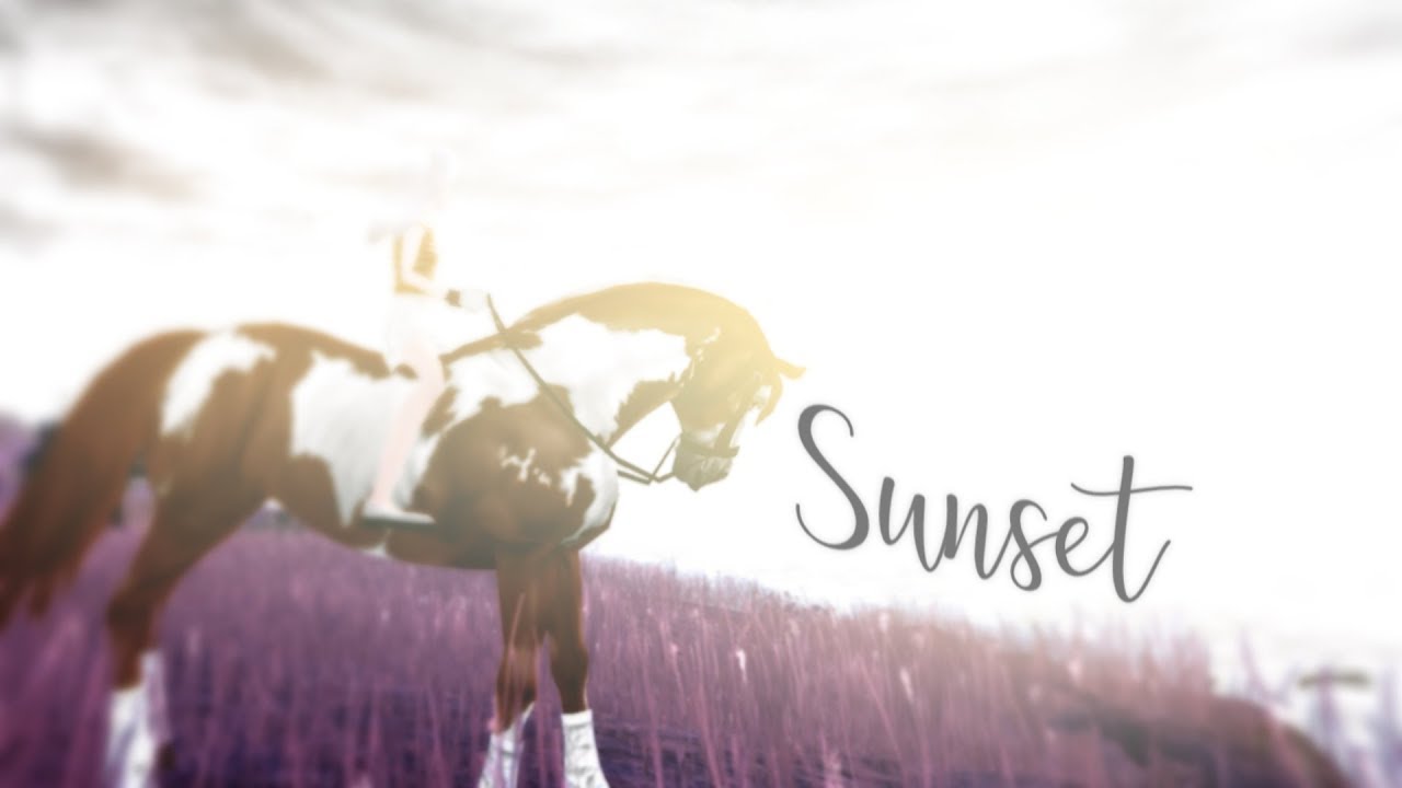 [SSO] sunset - YouTube