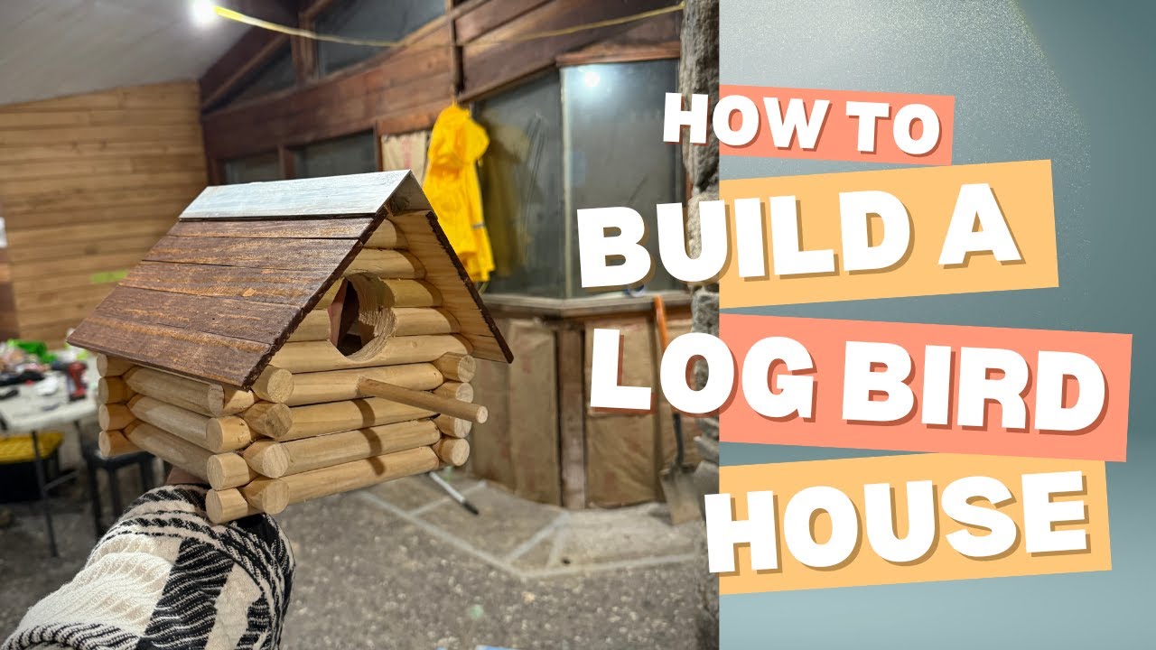 Log bird house| Log Cabine| How to build a bird house | DIY Build - YouTube