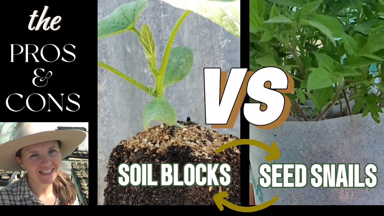 Soil Blocks VS Seed Snails | The pros and cons of seed starting ...