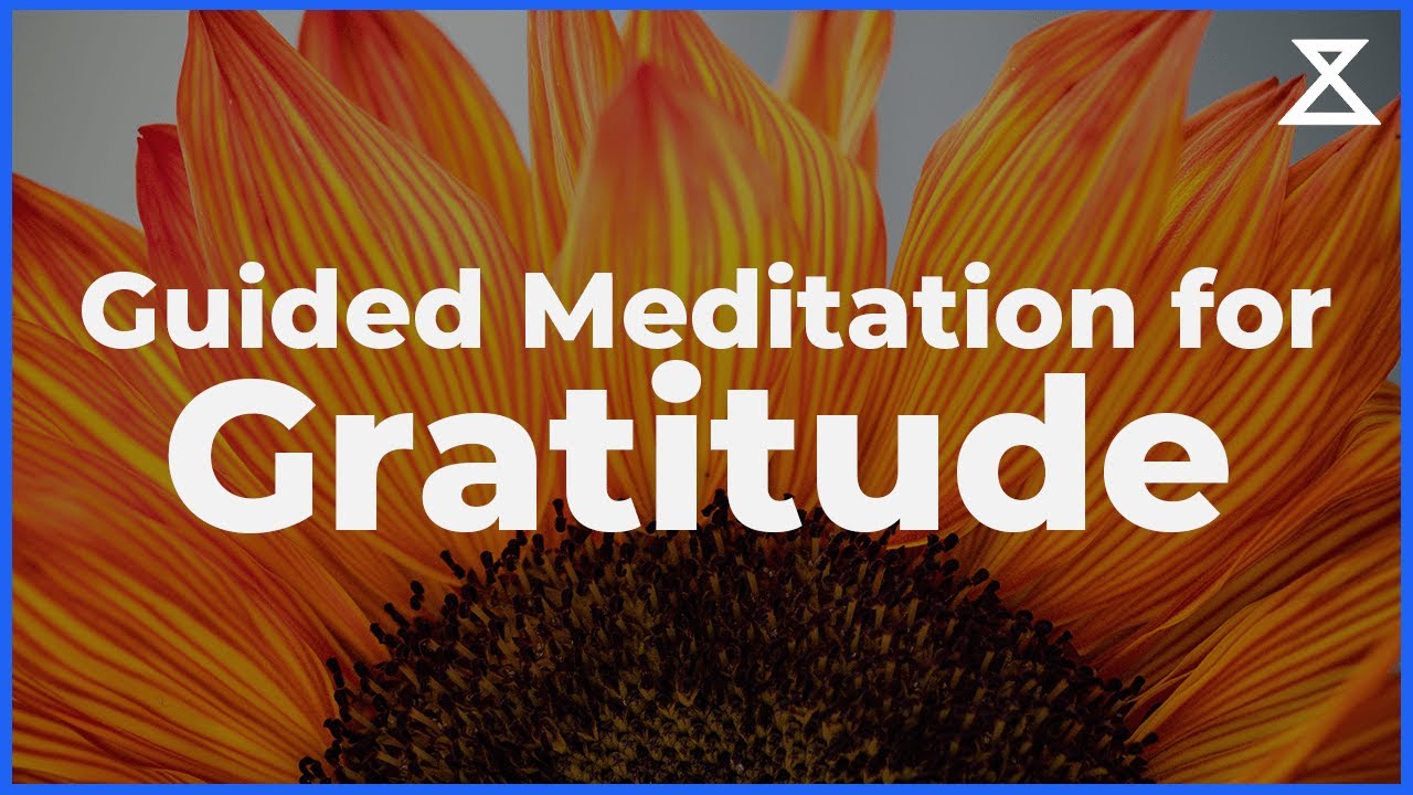 15 Minute Guided Meditation for Gratitude (Voice Only, No Music) - YouTube