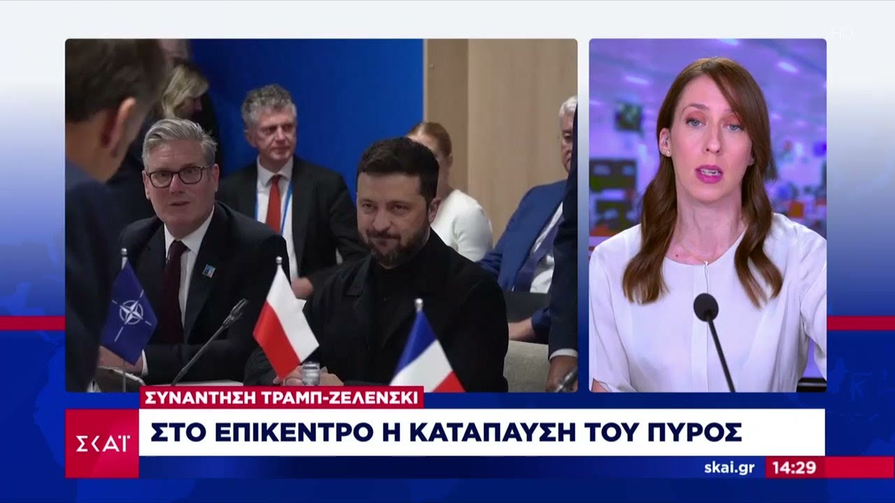 Συνάντηση Τραμπ-Ζελένσκι,στο επίκεντρο η κατάπαυση του πυρός–Αλιγάτορες ...