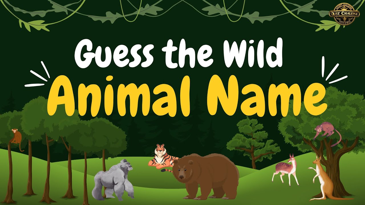 Guess the Animal Name | Animals Name for Kids | Learn Wild Animals Name ...