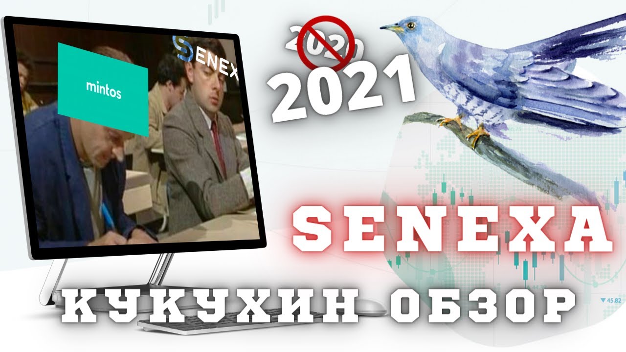 Обзор хайпа Senexa - YouTube