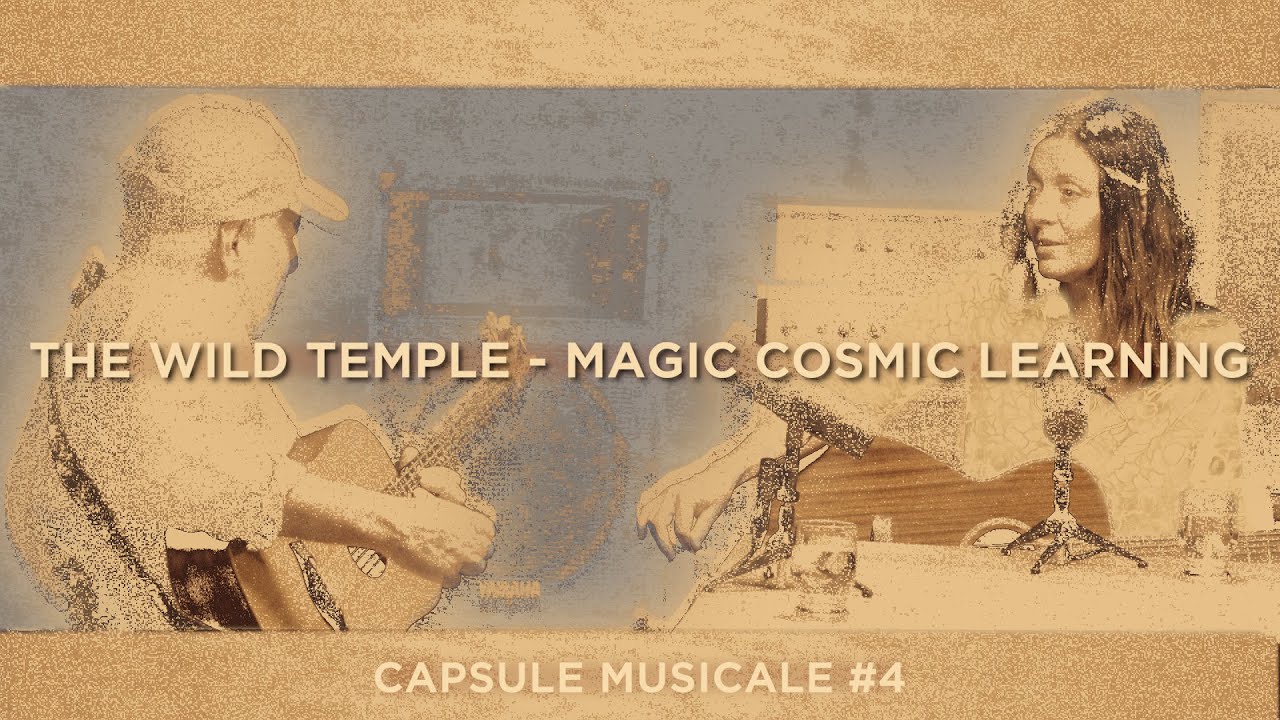 The Wild Temple - Magic cosmic learning / CAPSULE MUSICALE 4 - YouTube