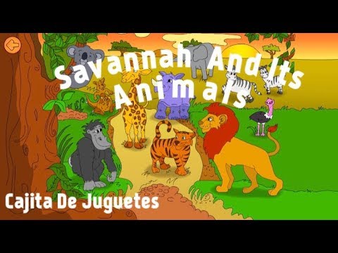 Animals In The Savannah🦁 🐼 Puzzle // Animales En La Sabana 🙉 🐯 ...