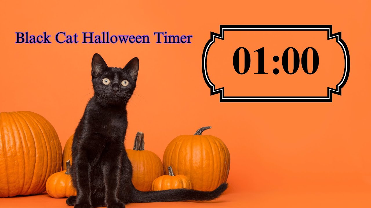 1 Minute Black Cat Halloween Timer - YouTube