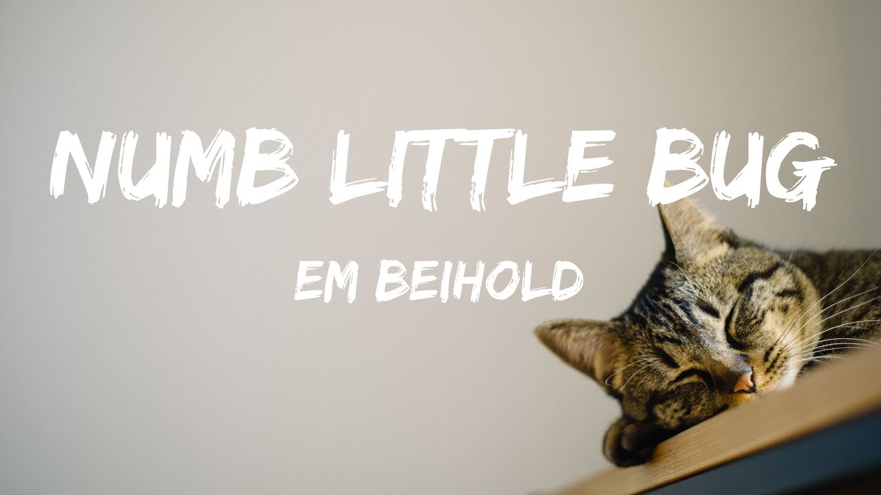 中英歌詞 Em Beihold - Numb Little Bug Lyrics 中字《身處險境但也得撐過來 That's gotta ...