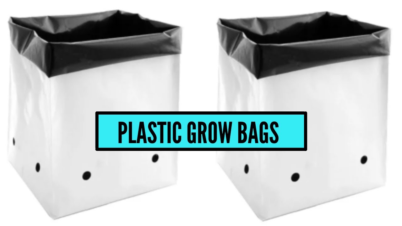 Plastic Poly Grow Bags For Plants How To Use And Create Your Own plastic-poly-grow-bags-for-plants-how-to-use-and-create-your-own