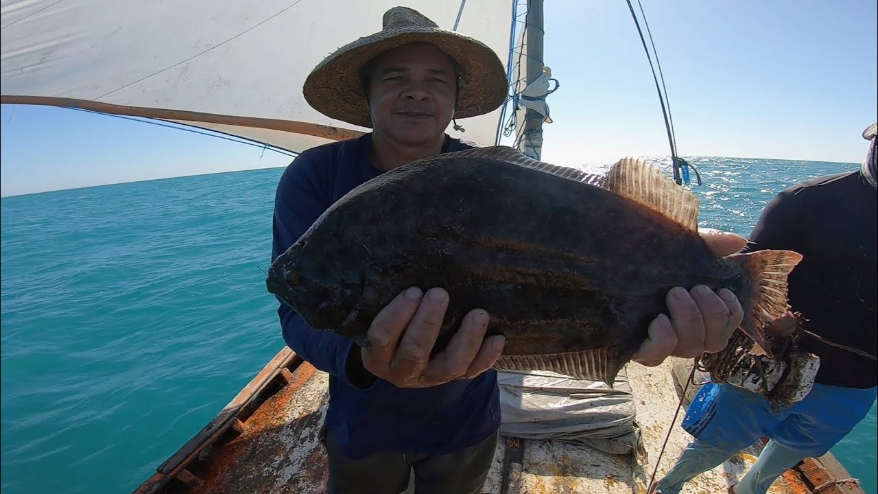 LINGUADO GIGANTE NA PESCARIA, UM DOS MAIORES QUE JA VI!! - YouTube