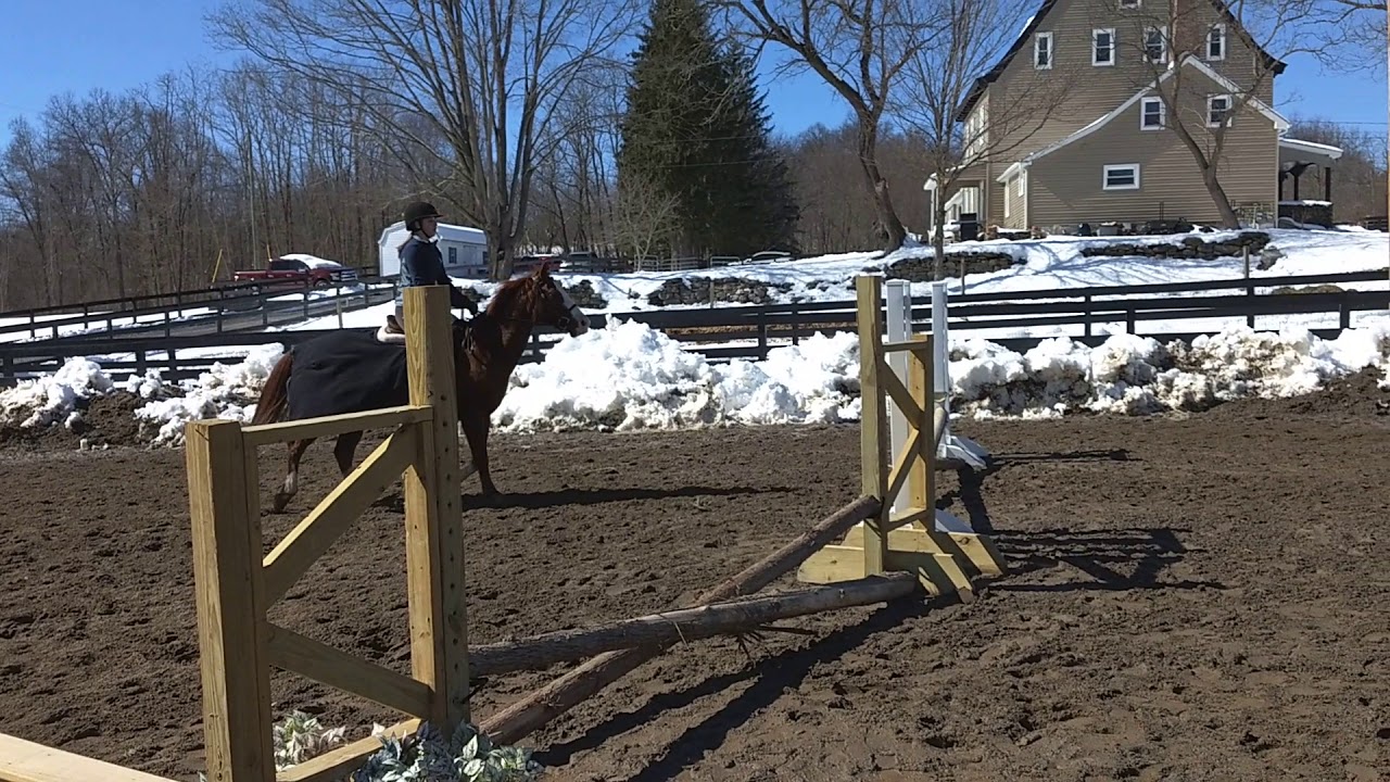 The Clover Stables Spring(55) - YouTube