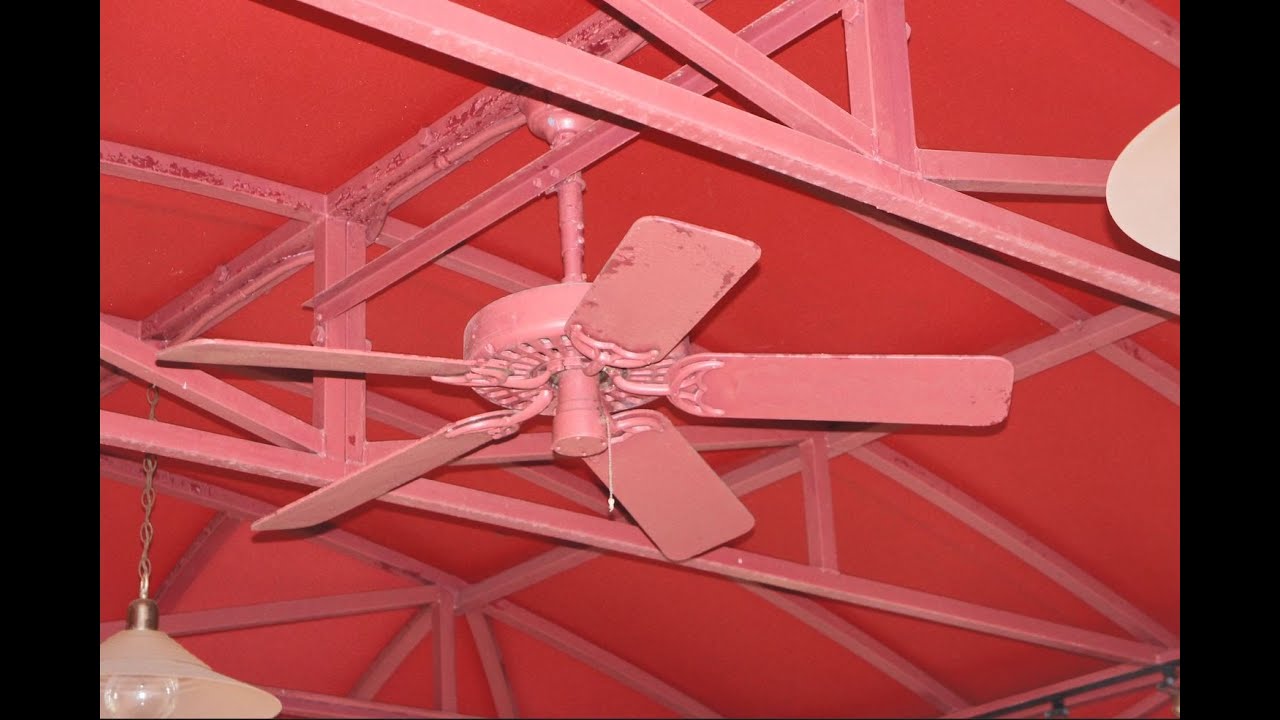Disney World Ceiling Fans (Picture Slideshow) - YouTube