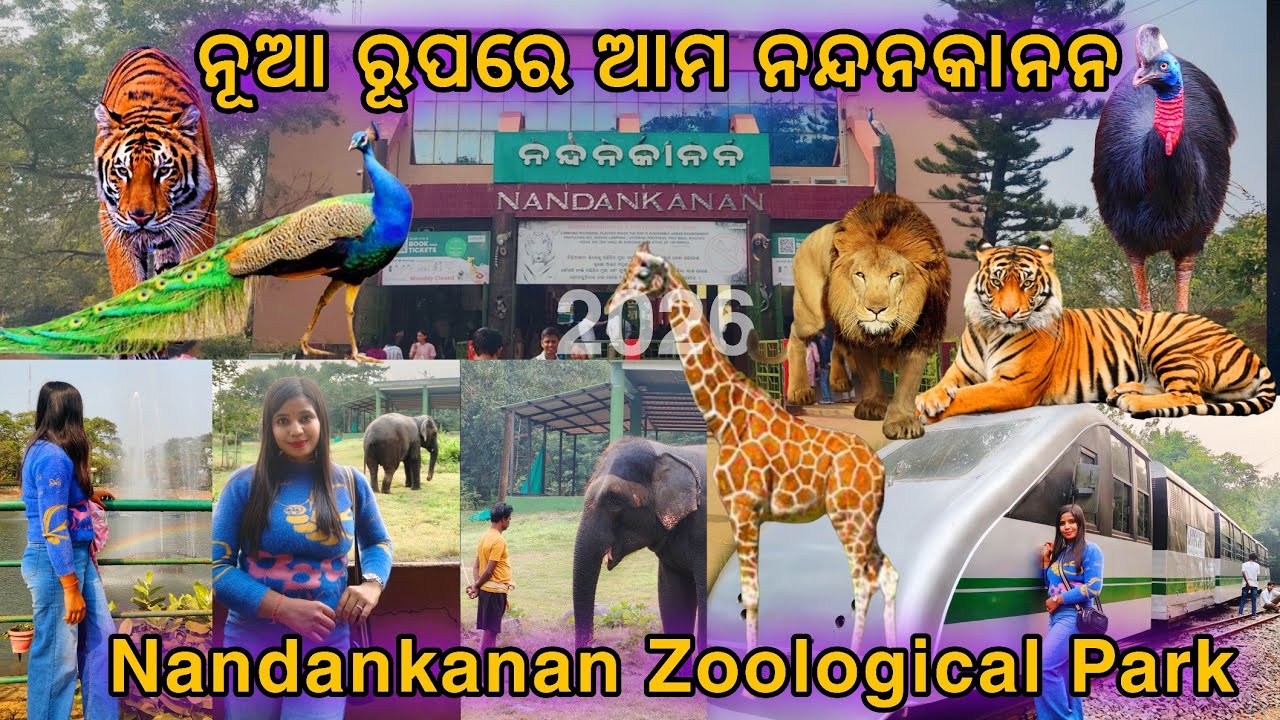 Nandankanan zoological park //Bhubaneswar //2nd Largest Zoo of India ...
