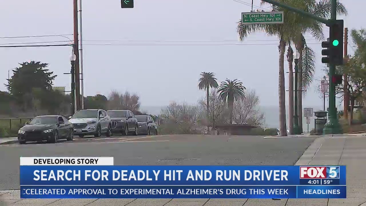 Search for Deadly Hit-And-Run Driver - YouTube