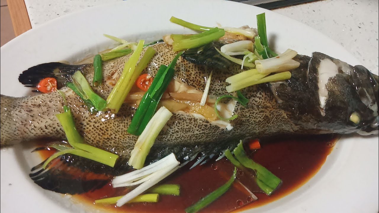 STEAM LAPU2x FISH - YouTube