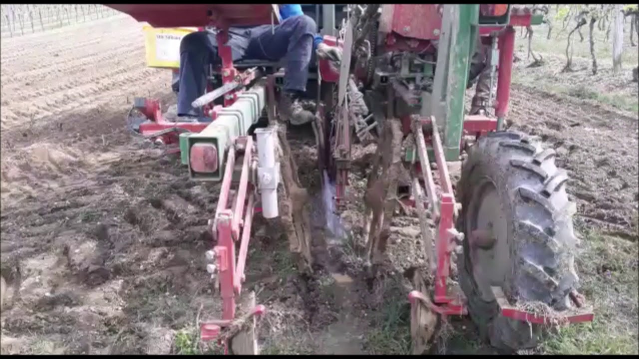 Ein neuer Weingarten entsteht - Reben setzen - YouTube