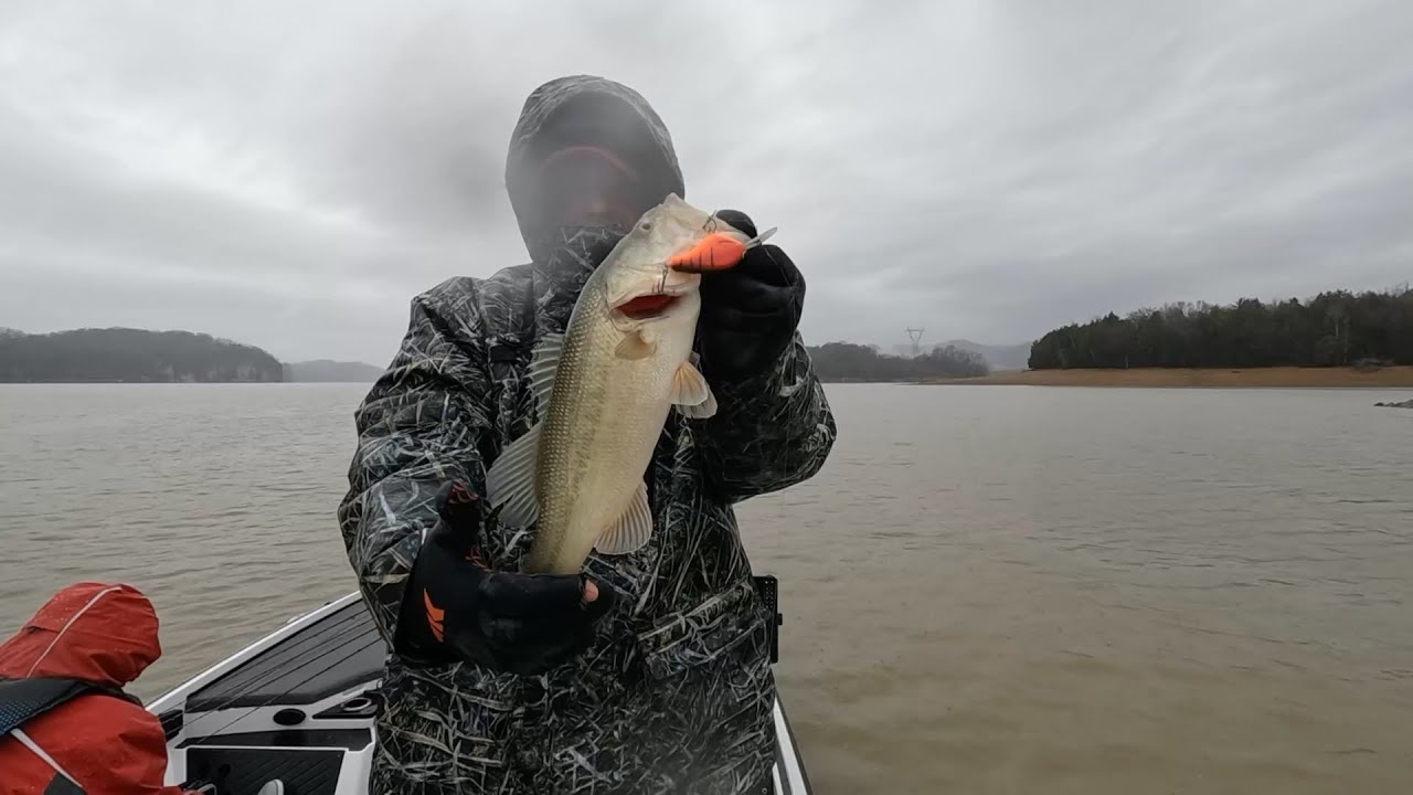 Cherokee Lake Bass Fishing February 15th 2025. Chocolate Milk and ...