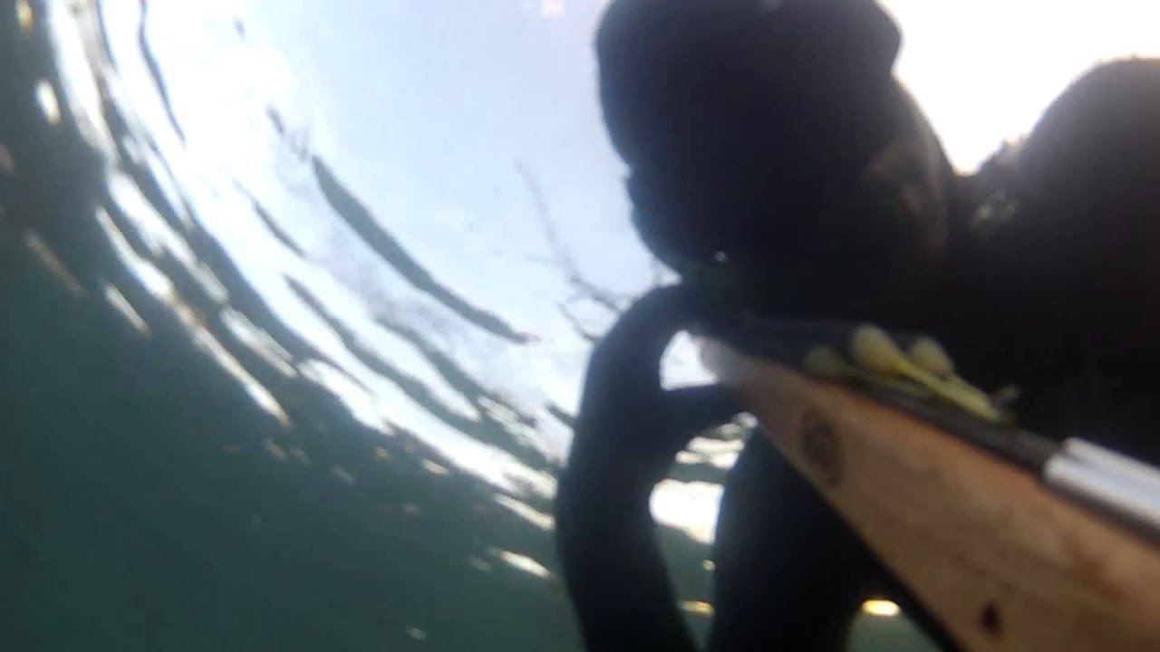 James Mehl Bio Finished - YouTube