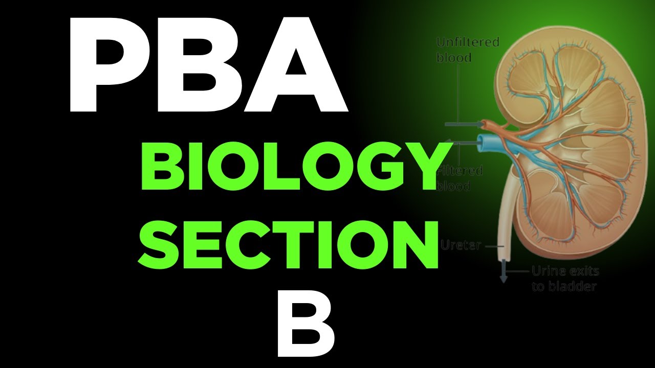 Biology PBA 2025 | Class 10 Full Preparation Section B | FBISE 2025 ...