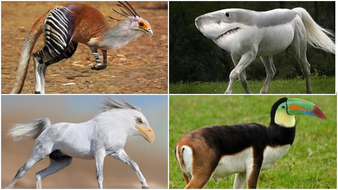 Top 10 Amazing Hybrid Animals That Actually Exist!! - YouTube