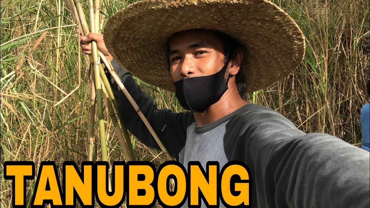NANGUHA KAMI NG TANUBONG - YouTube