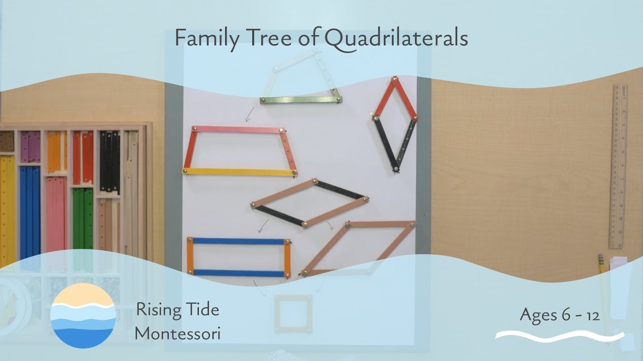 Quadrilateral Family Tree