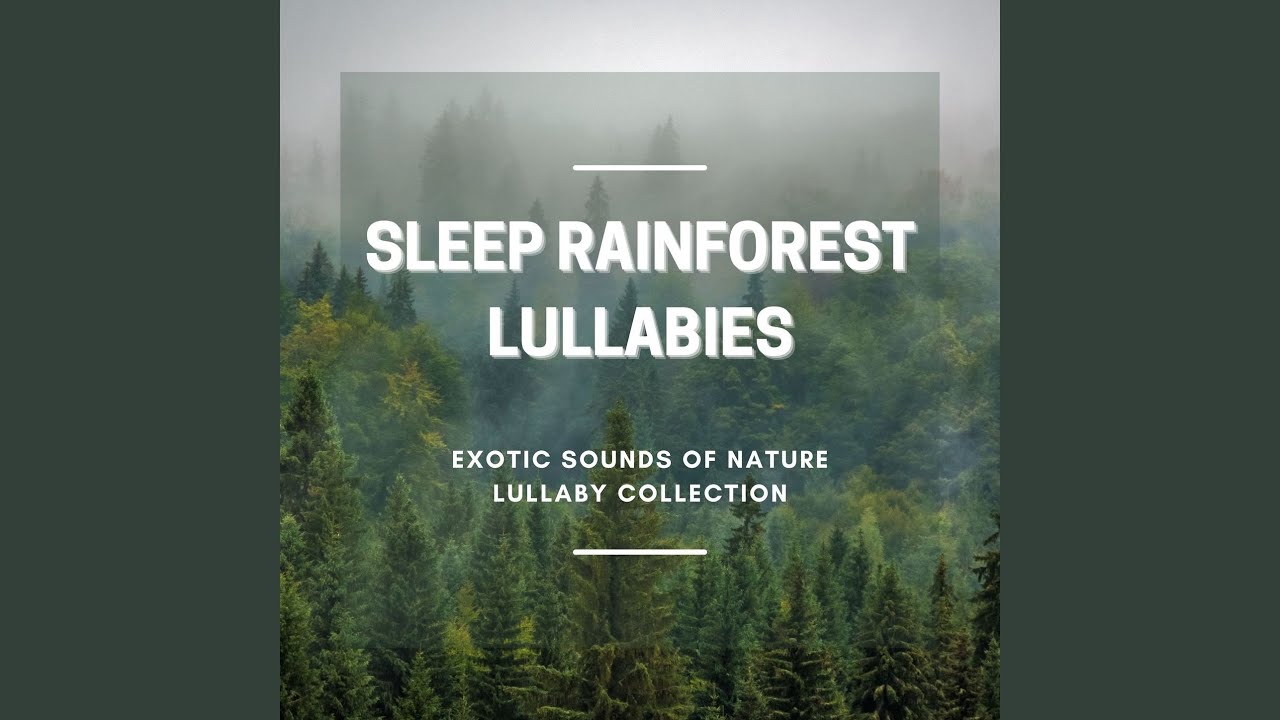 Nature Lullaby - YouTube