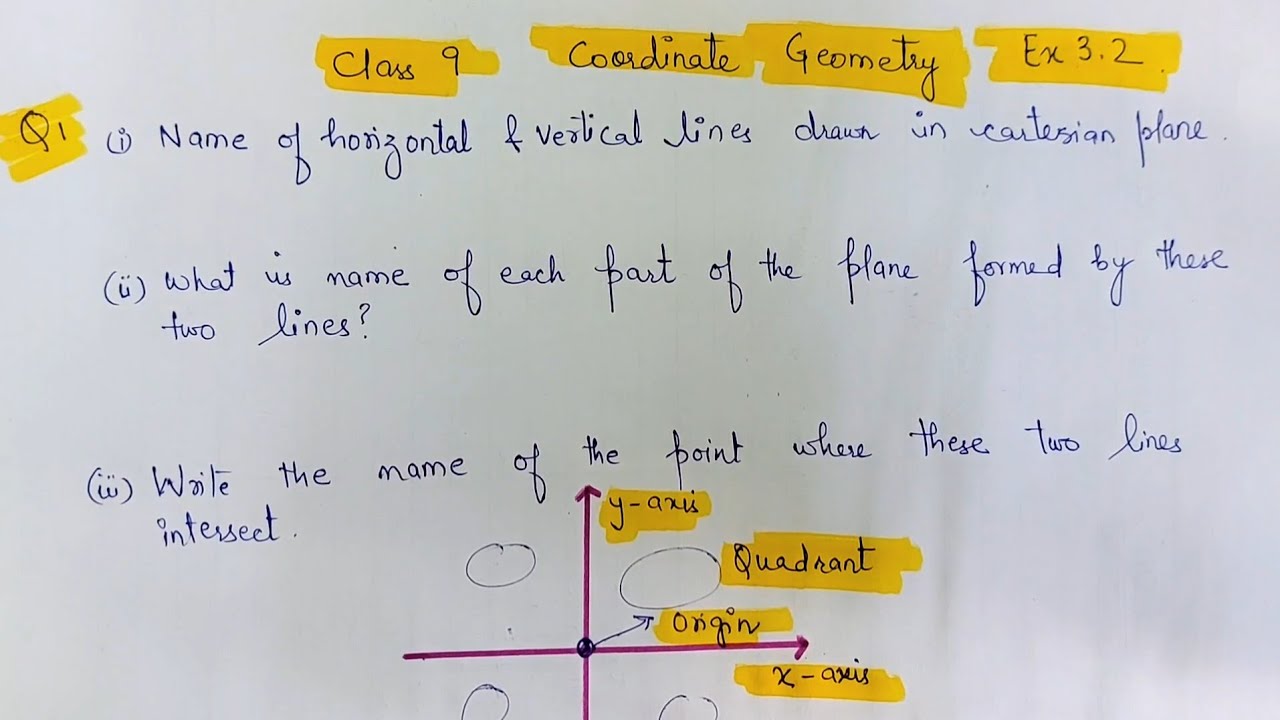 Name the horizontal and vertical lines drawn in Cartesian Plane IWhat ...