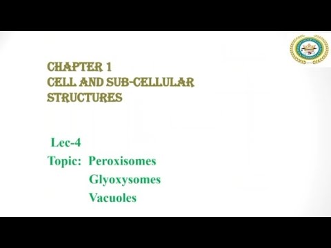 Glyoxisome | Peroxisome | Vacuole | Federal Board Biology Part-1 (First ...