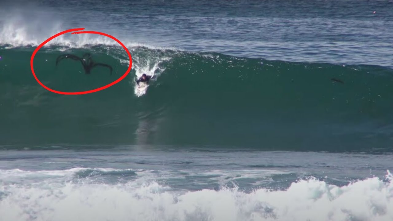 Mysterious Object Caught on Camera during Surfing Competition - YouTube