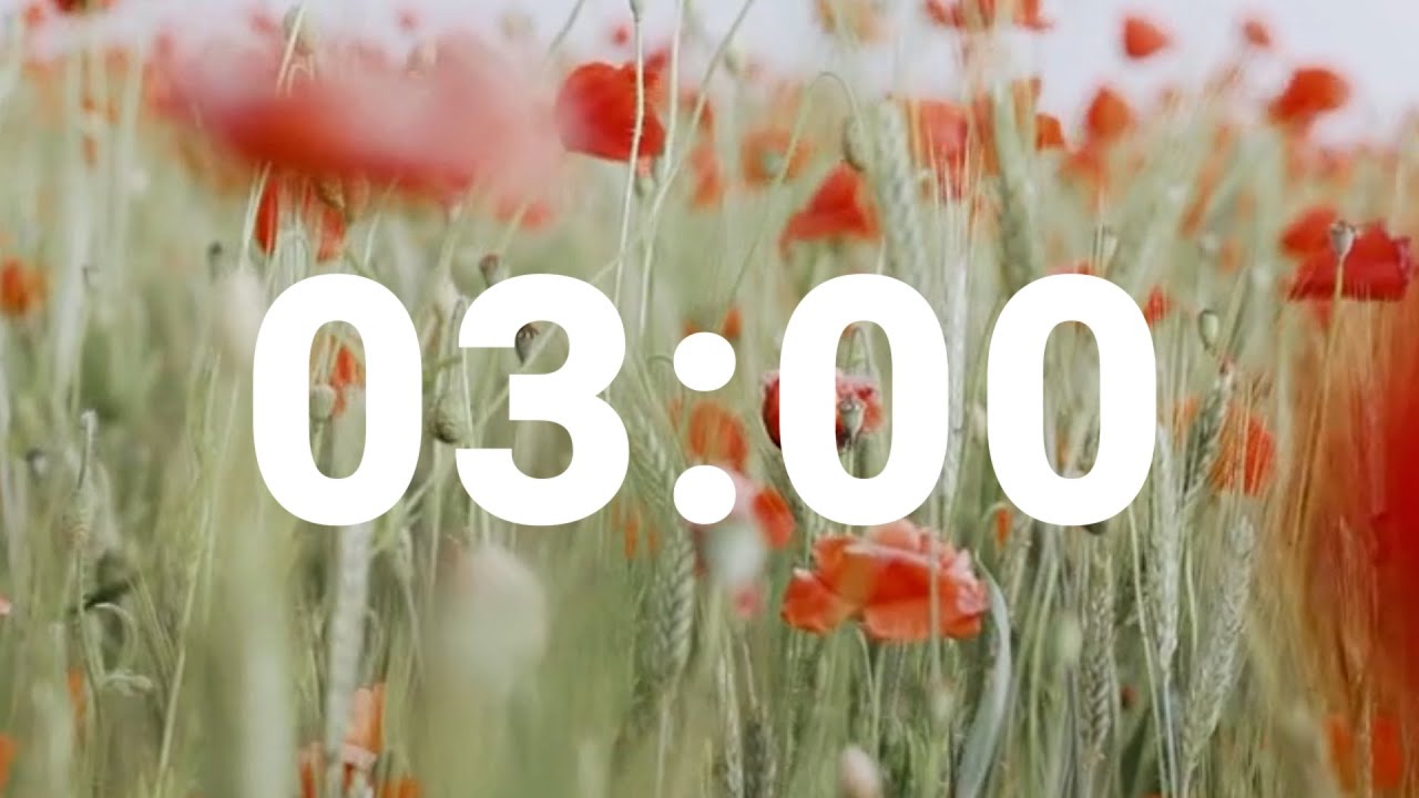 3 Minute Timer with Relaxing Music and Alarm, Countdown Clock for ...