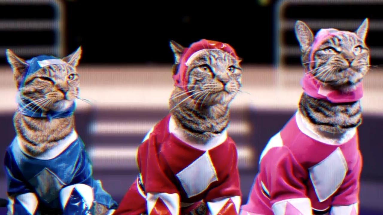 -Meowphin Time! | Mighty Morphin Meower Rangers | Episode 1 | Power ...