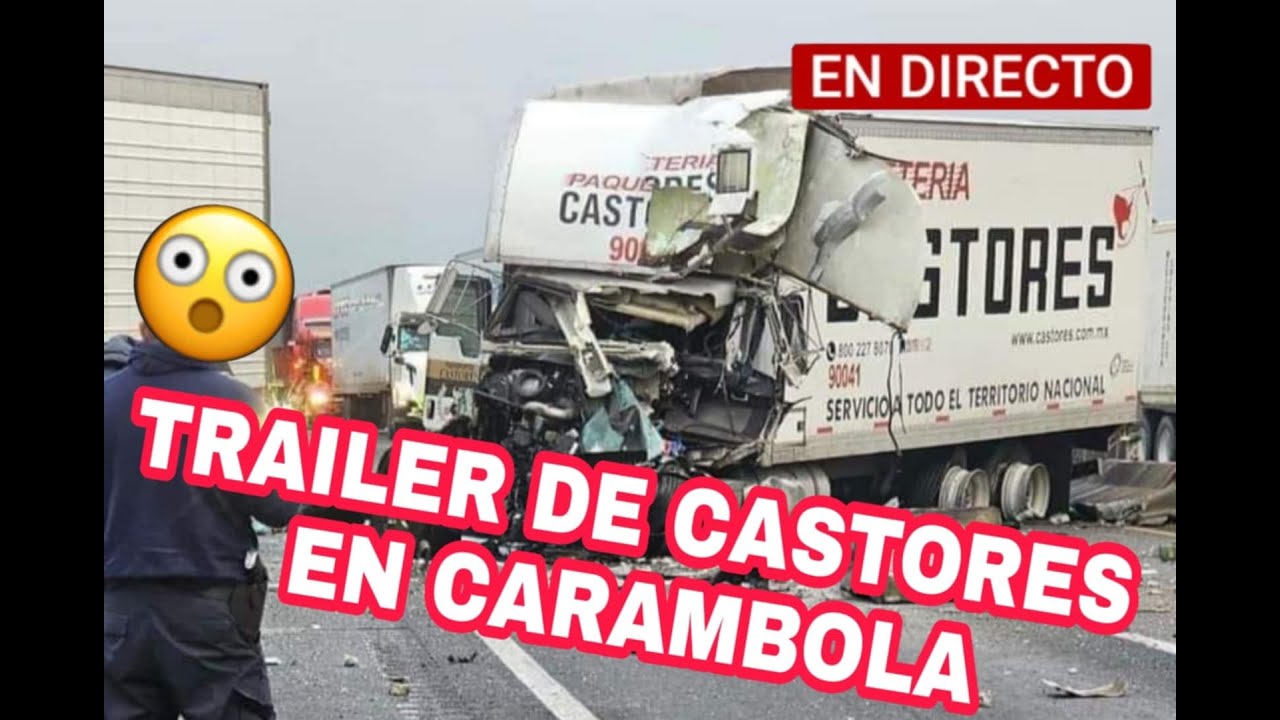 TRAILER DE CASTORES EN CAR@MB0LA - YouTube