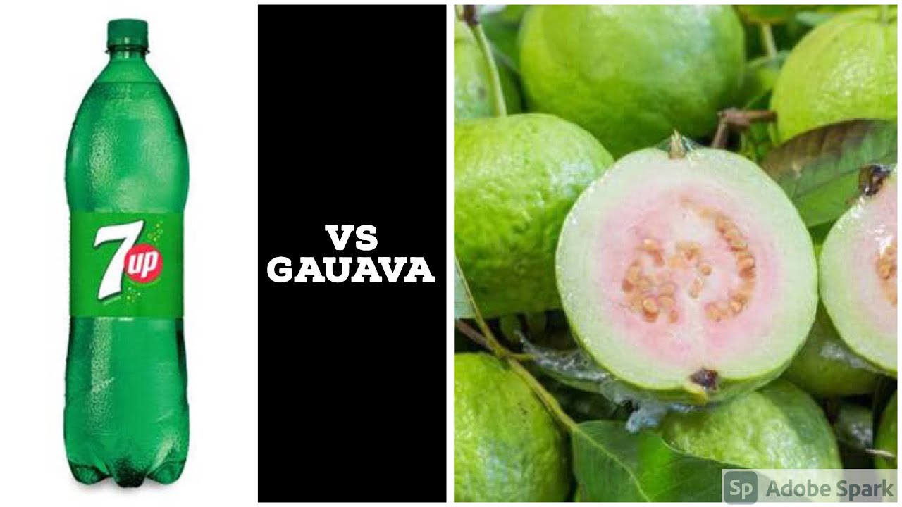Amarud juice. Guava juice. Peru juice. Home made juice. Amrud pulp ...