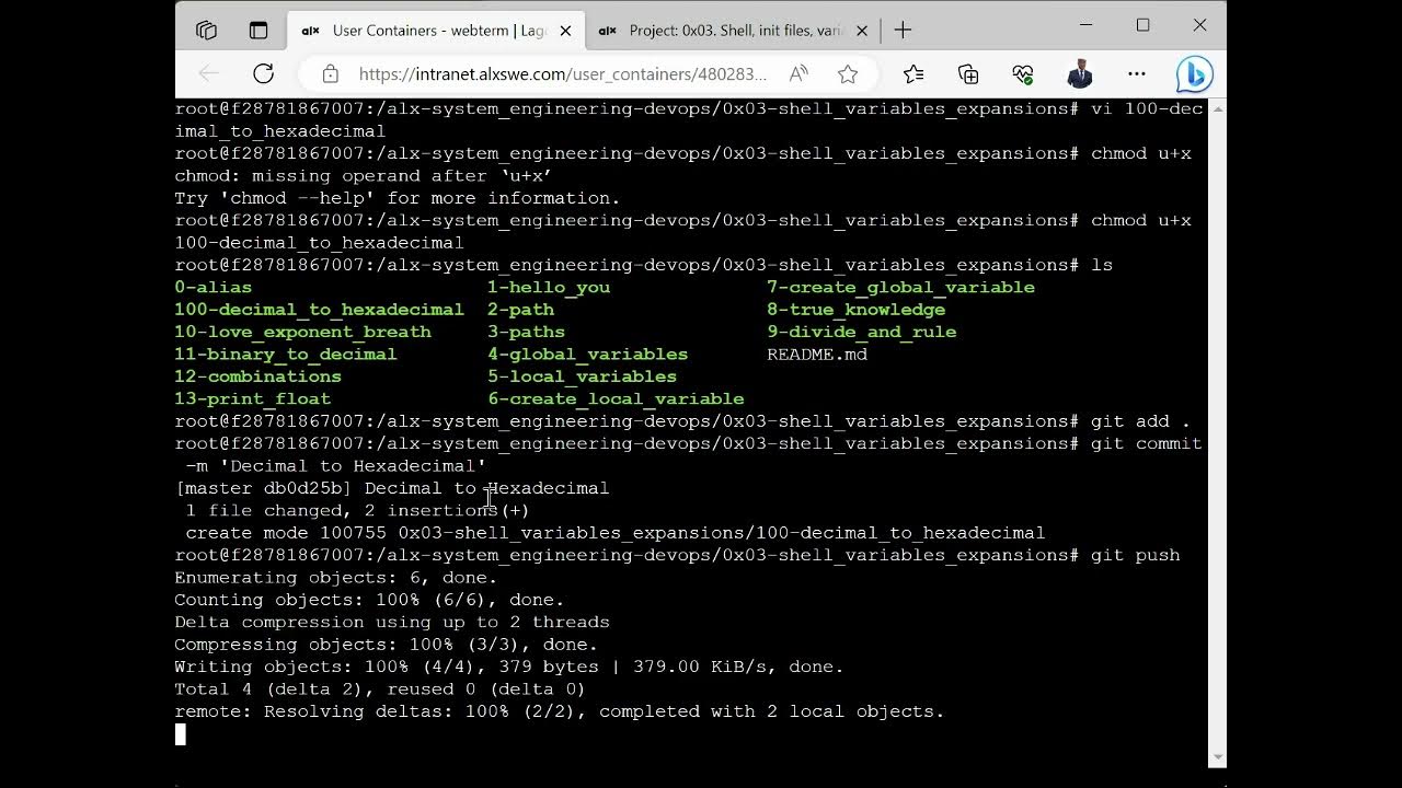 0x03 Shell, init files, variables and expansions - Decimal to Hexadecimal - YouTube