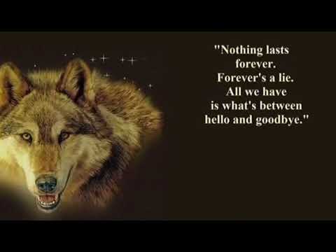 Wolf  Quotes