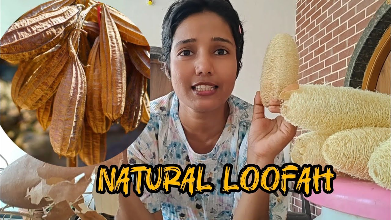 🌿 Natural Loofah DIY | Village Style Skincare Hack 🌿 #desivlog - YouTube