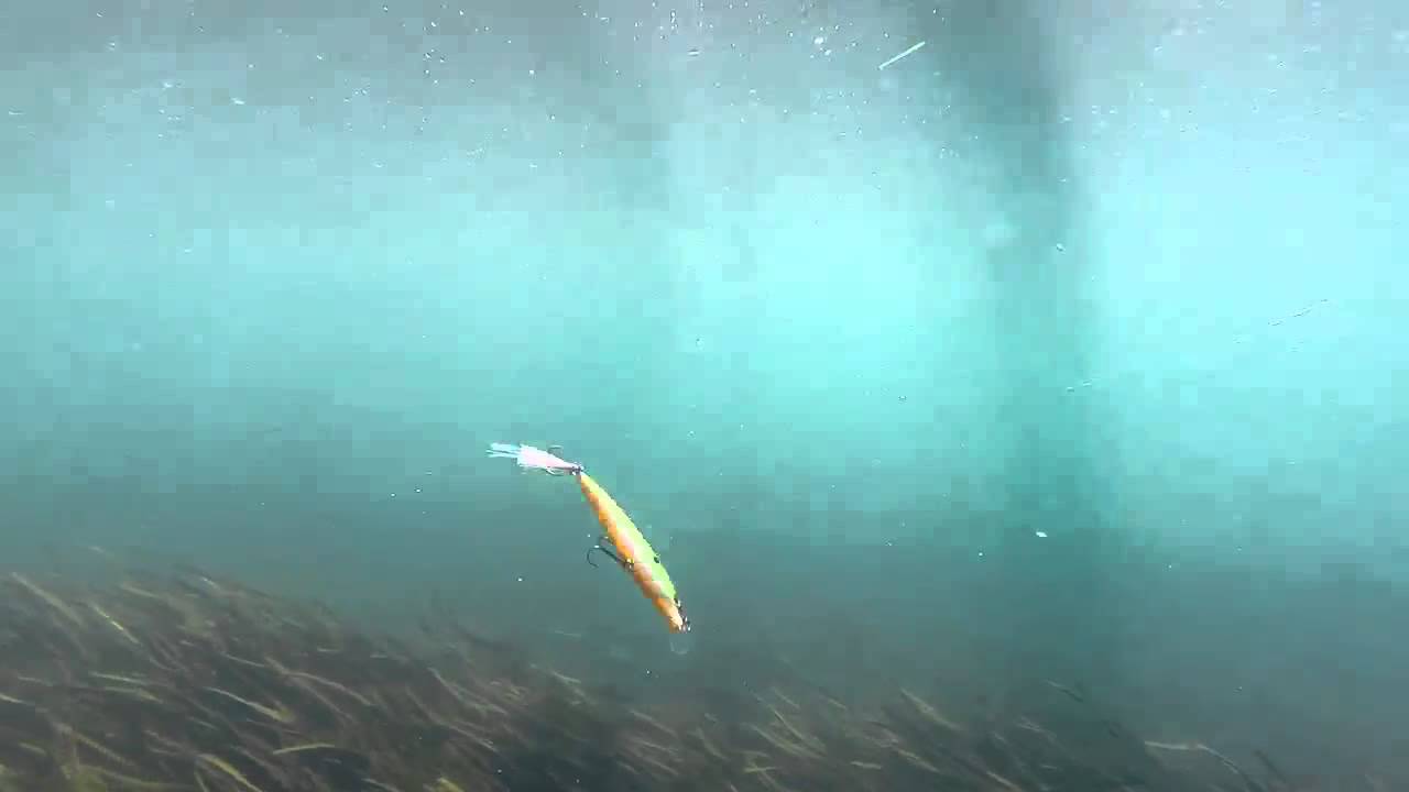 Cabela's Fisherman Series Escape Minnow - YouTube