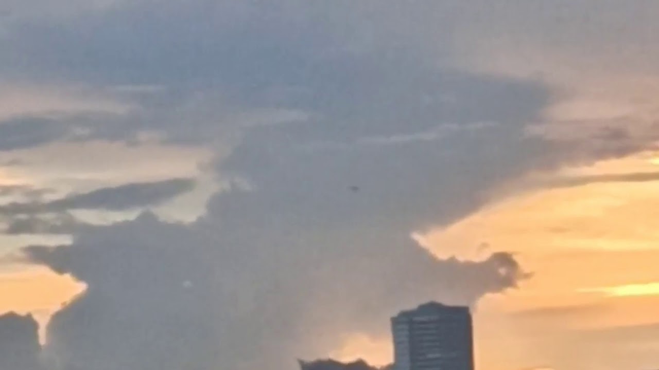 Light fury and night fury in real life? - YouTube