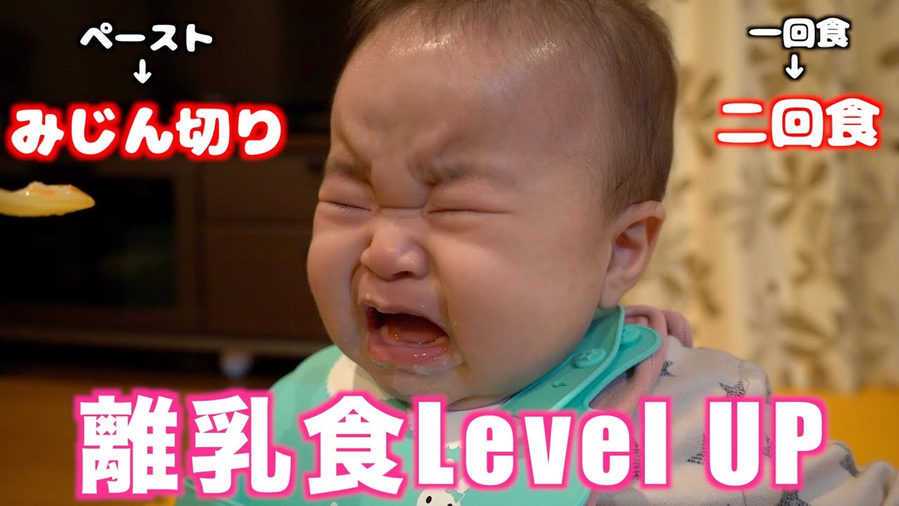 1 2 7 Yune Started Eating Twice A Day YouTube 1 2 7 Yune Started Eating Twice A Day YouTube