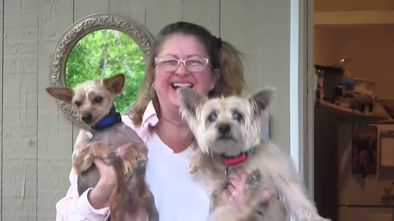 146/365/2015 Lisa Dancing with Dogs 2015 05 24 - YouTube