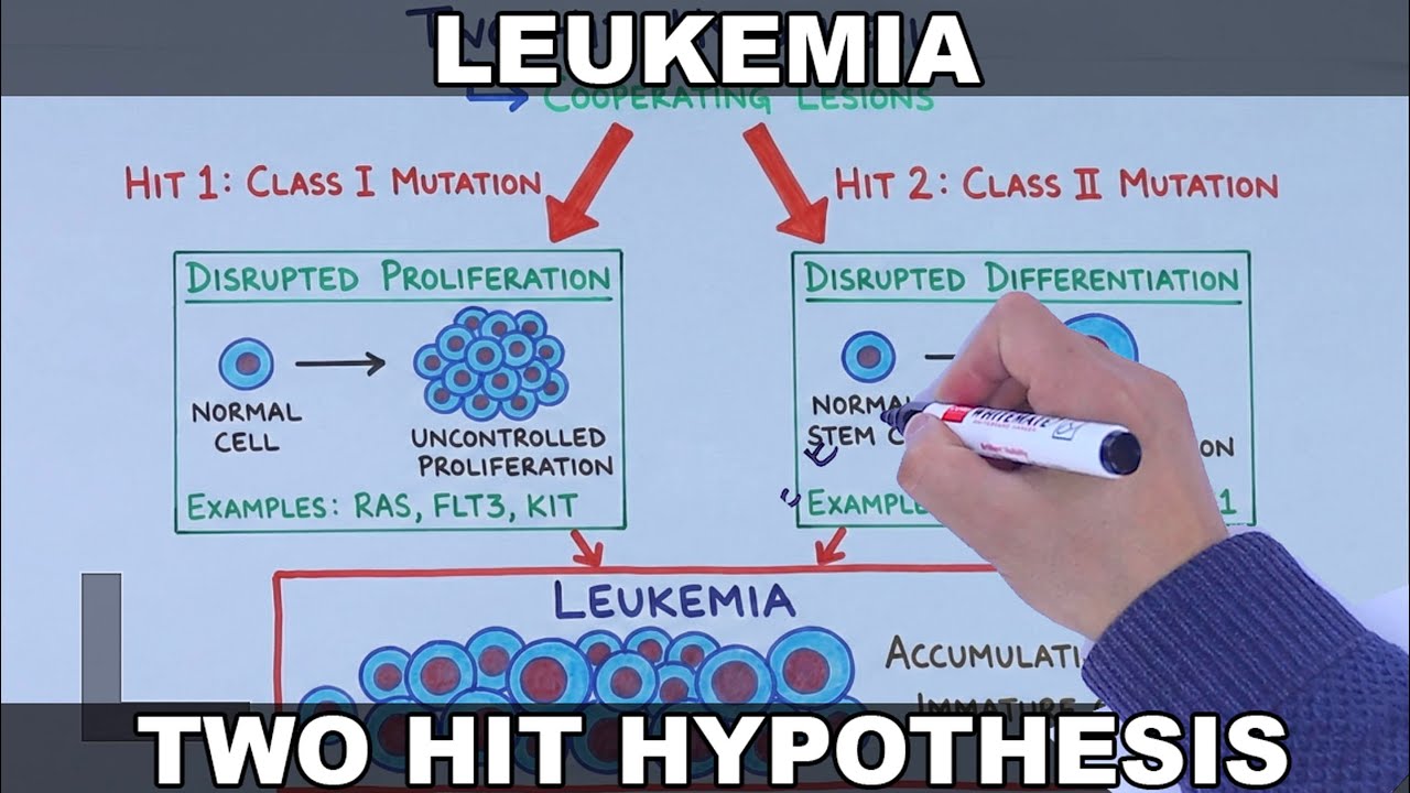 Leukemia Explained | From Genetic Mutations to Classification - YouTube