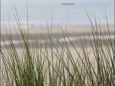 Terug naar de kust (Maggie McNeal/Sjoukje Smit) - YouTube