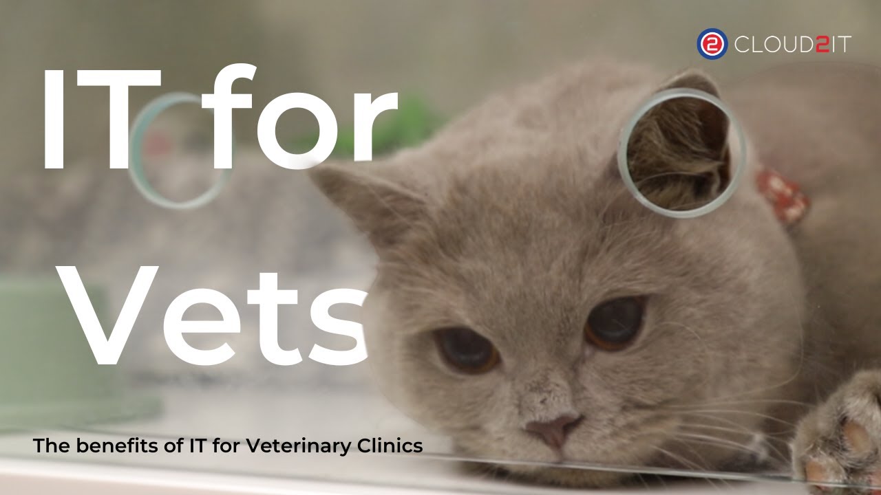 Managed IT Support for Veterinary Clinic - Wild Side Vets - YouTube