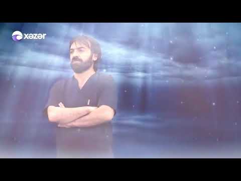 Amir sehane sehnesi