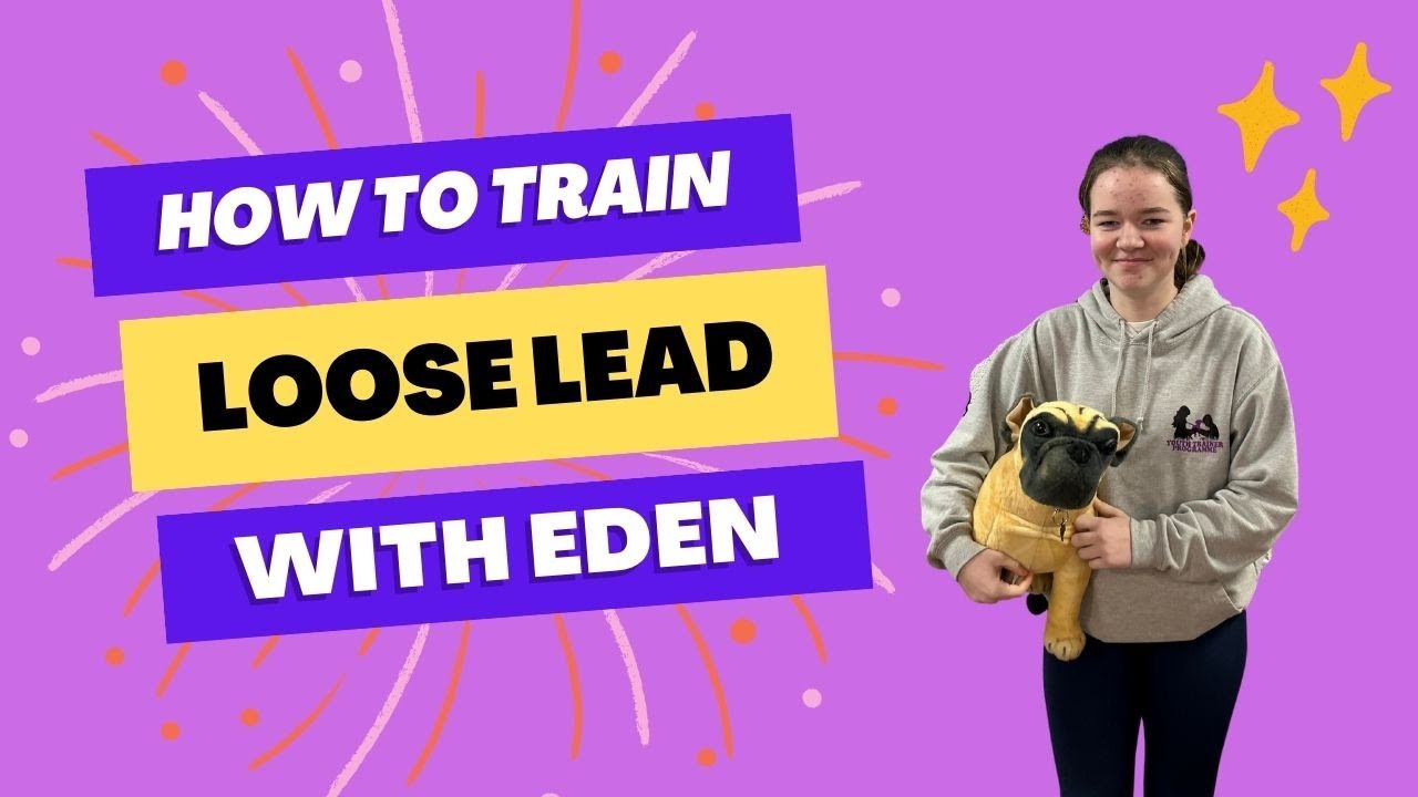 Loose Lead Walking with Eden - YouTube