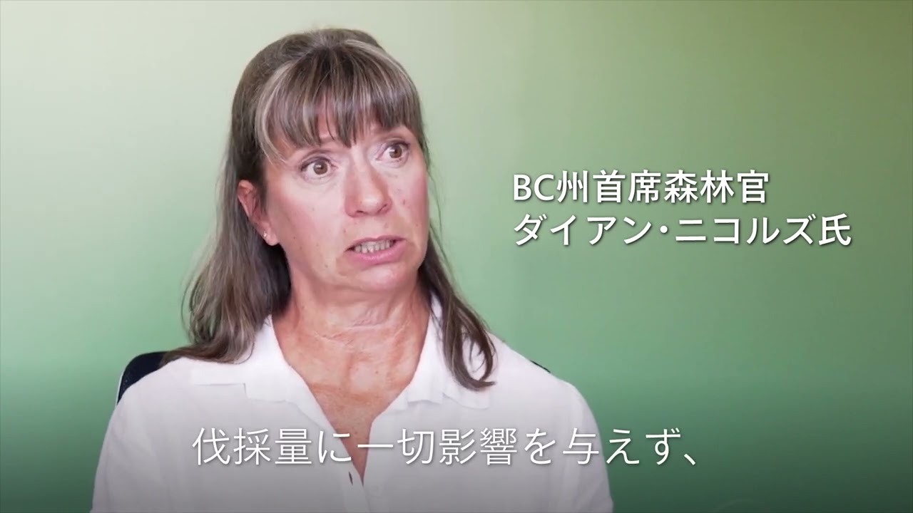 (Japanese) Logging primary forest for pellets - YouTube
