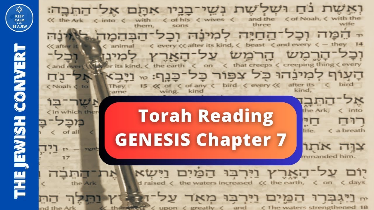 Genesis Chapter 7 | Torah Reading in Hebrew & English Translation | TORAH STUDY - YouTube