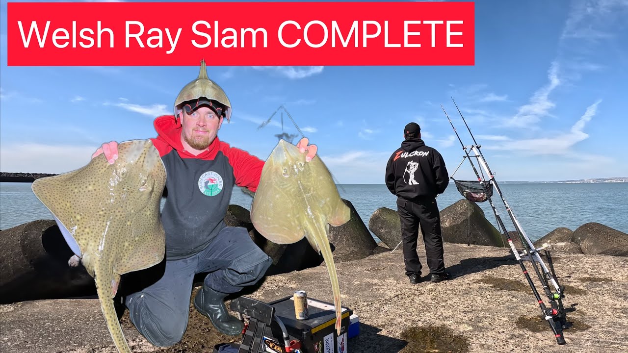 Ray Fishing at its BEST!! South Wales Bristol Channel Rays. Zulcron XT ...