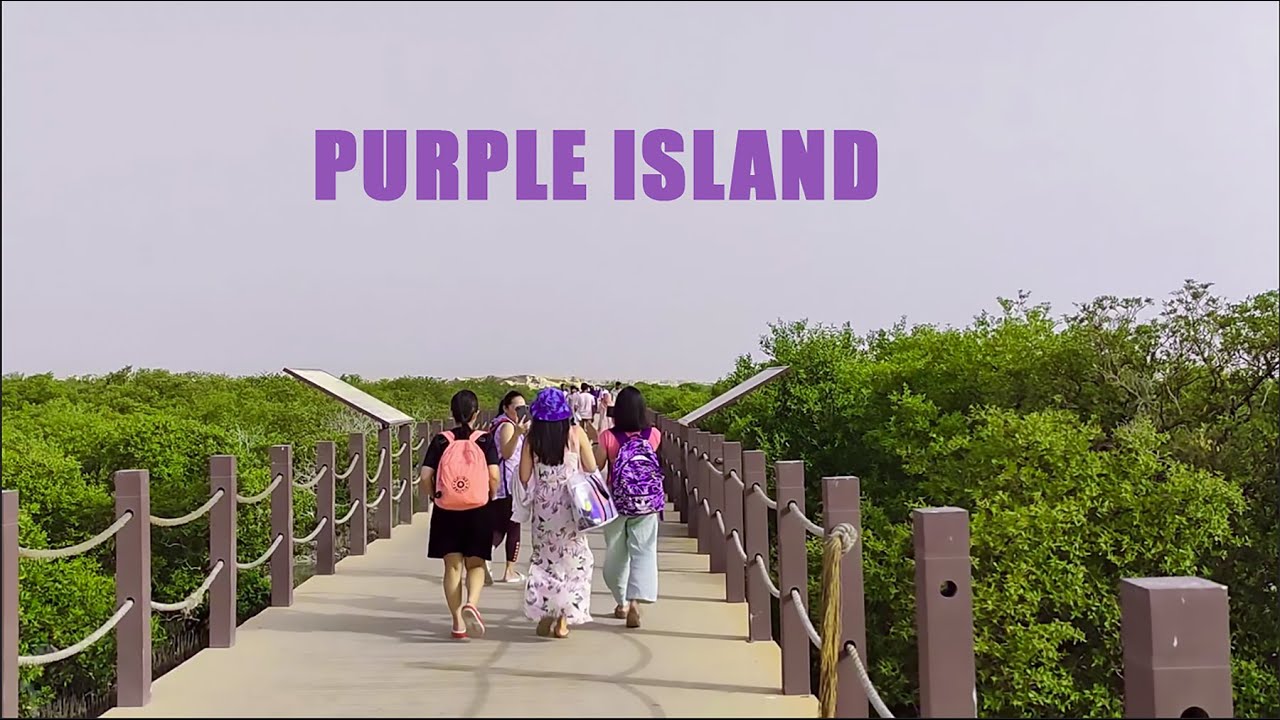 Exploring Purple Island In Qatar - YouTube